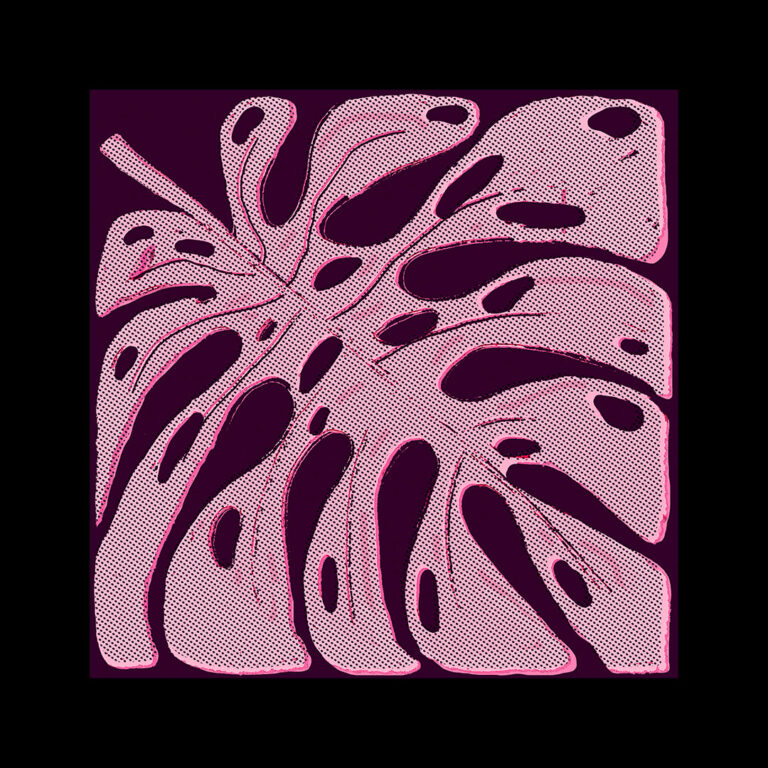 Bareis + NicolausCover Archives - Bareis + Nicolaus