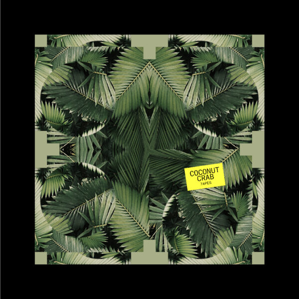 Bareis + NicolausCover Archives - Bareis + Nicolaus