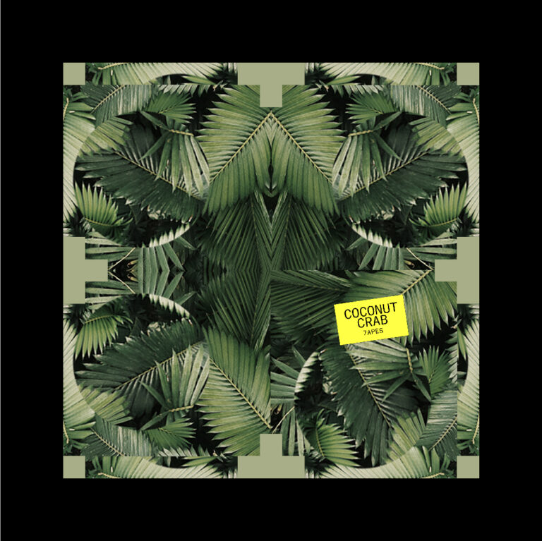 Bareis + NicolausCover Archives - Bareis + Nicolaus